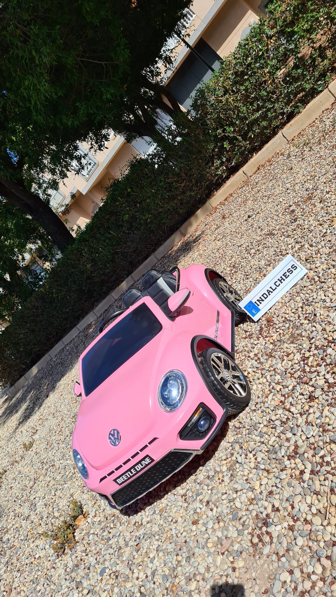 VENTA Escarabajo Volkswagen Beetle 12v rosa, Coches eléctricos y motos ...