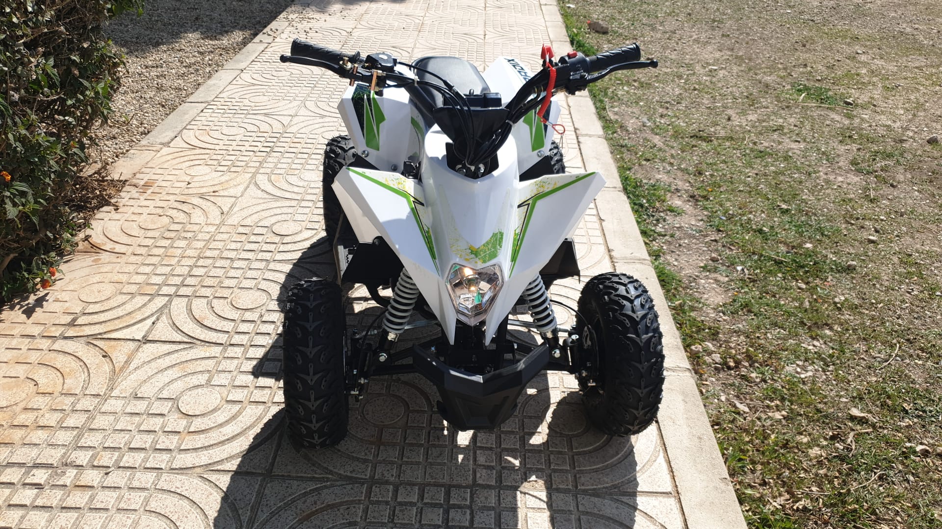 VENTA Mini Quad de gasolina de 90cc PoloRoanRadix-2131__VER verde ...